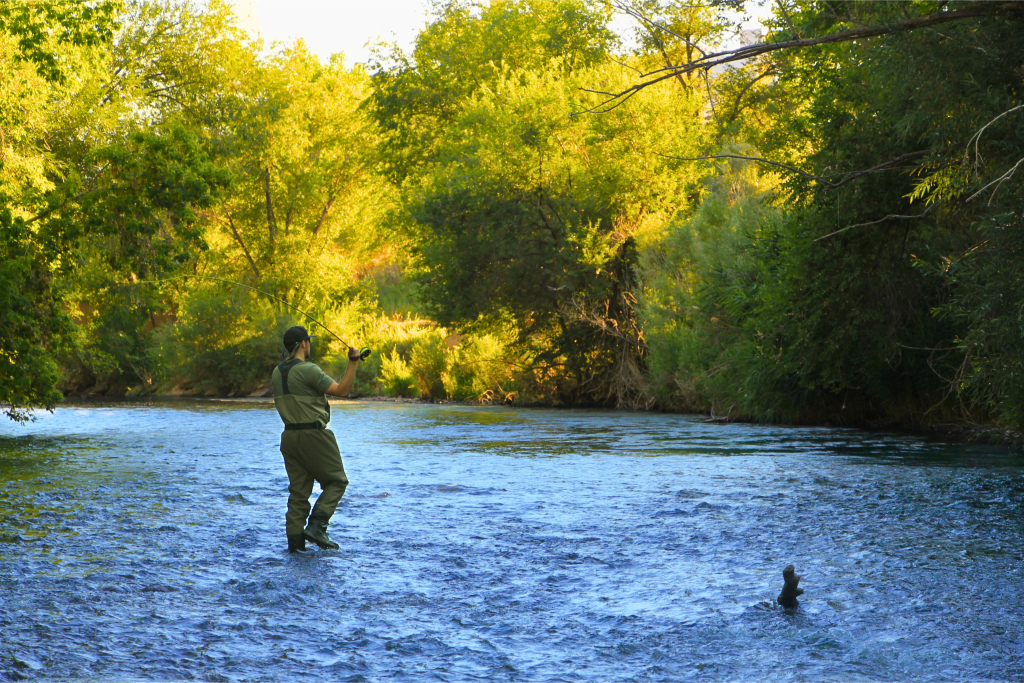 Fly Fishing – Anglers Den